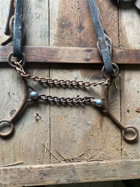 Troy Flaharty big Betty chain - Barrel Horse World