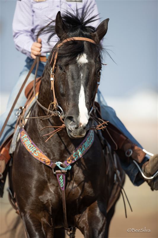 Famous and Shameless