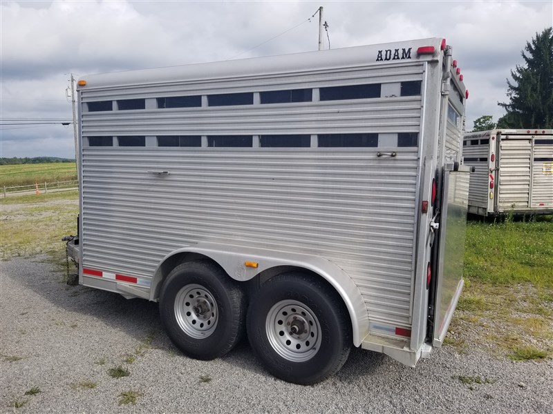 2006 Adam Stock