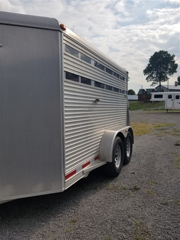 2006 Adam Stock
