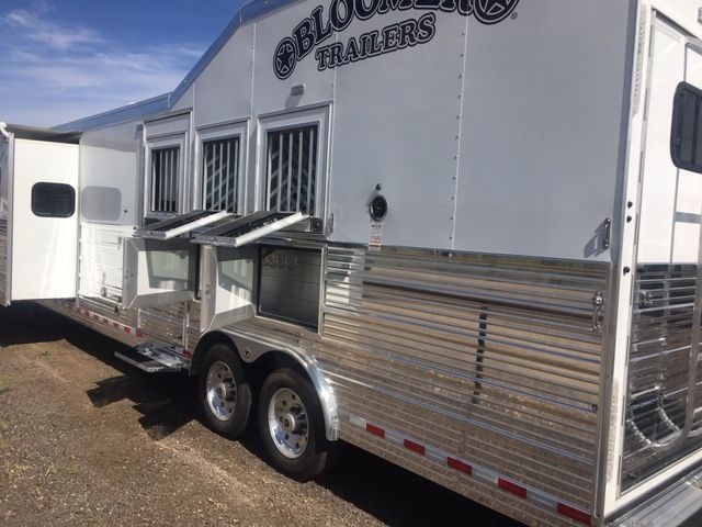 2020 Bloomer Evolution