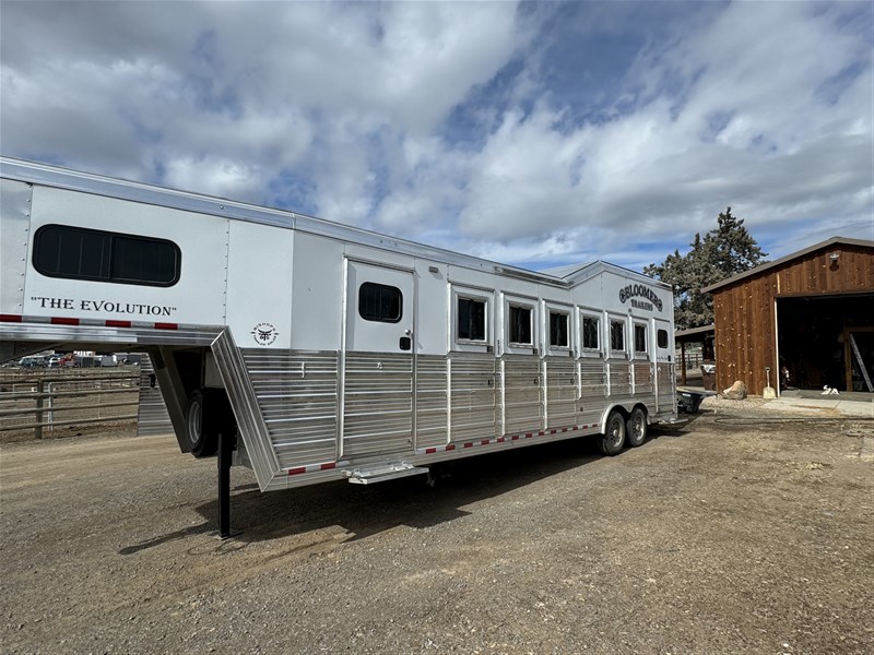 2023 Bloomer 6 horse