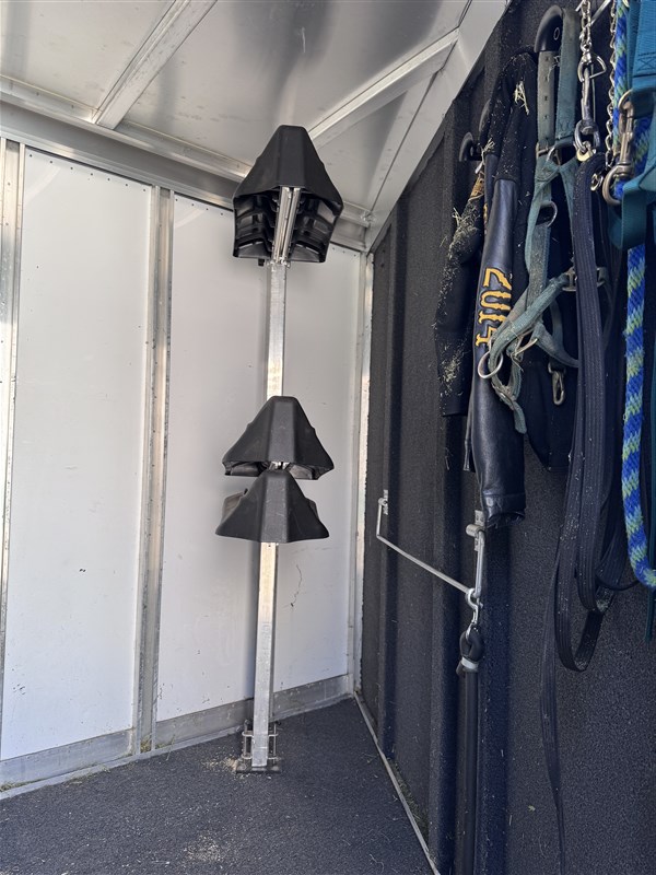 2004 Exiss Limited Xt 300