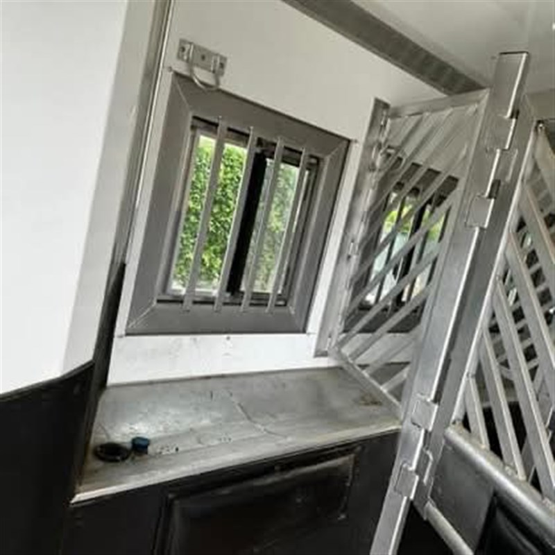 2019 Bloomer Evolution