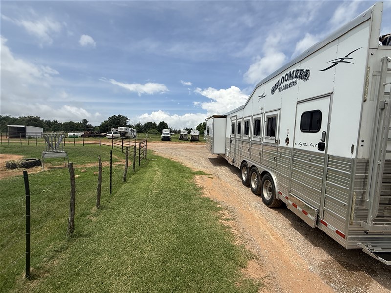 2020 Bloomer 5hors with LQ