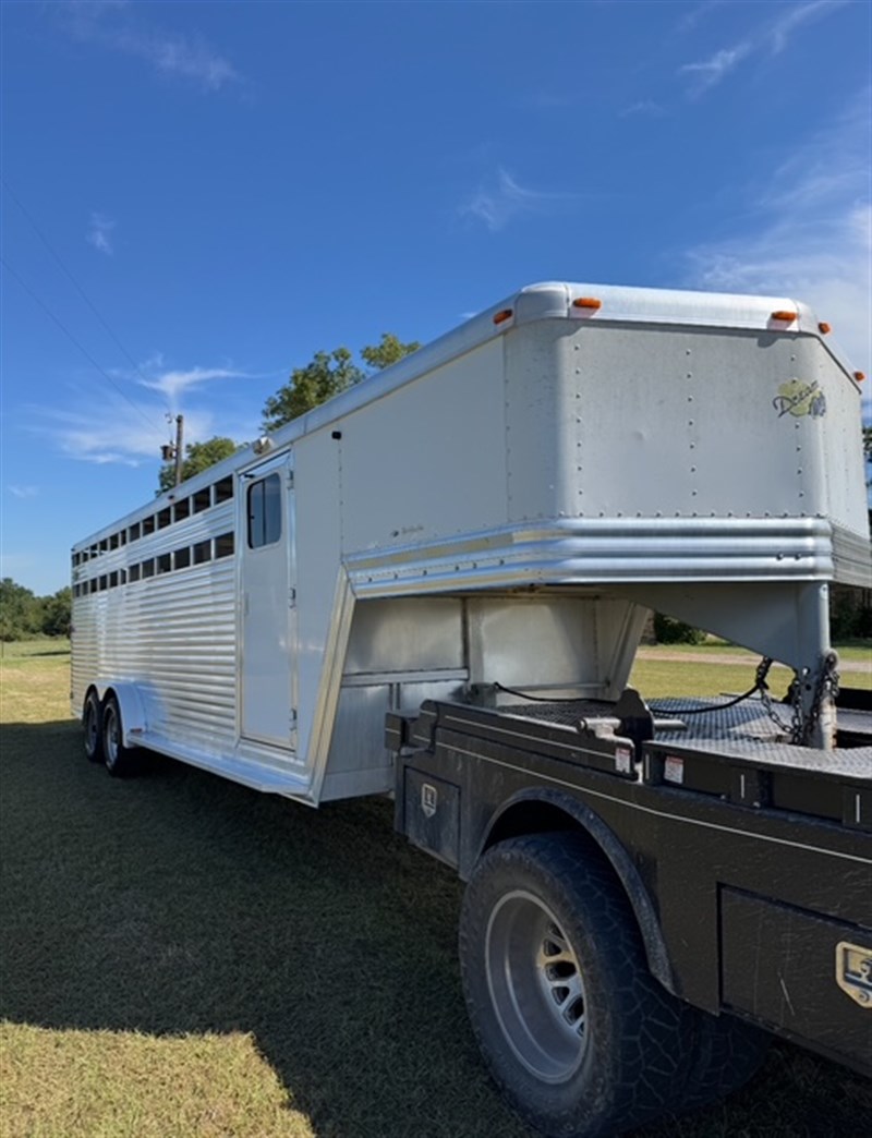 2008 Dream Coach Platinum
