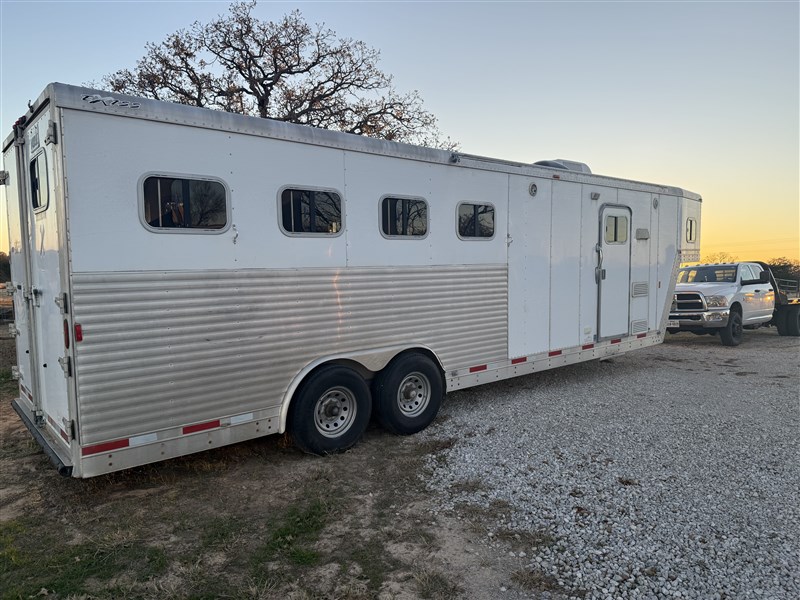2006 Exiss Horse