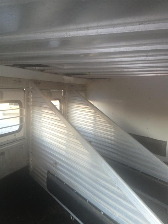 2001 Cato Classic 3 Horse